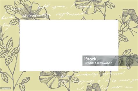 야생 장미 꽃 그리기 및 스케치 일러스트 레이션 직물 직물 포장지 카드 초대장 벽지 웹 디자인장식 꽃 세트 낭만적 인 배경에 카드 템플릿 손으로 쓴 추상 텍스트입니다 0명에