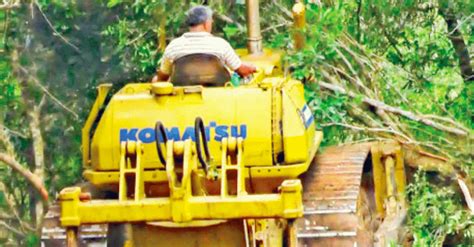 ත්‍රිකෝණමඩුවල මහා වන විනාශයක් වීර පලු බුරුත මිල්ල ඇතුළු වටිනා ගස් ඩෝසර් Lanka Truth