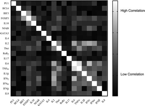 The Heat Map Depicts Spearman Correlation Analyses Between Cytokines Download Scientific
