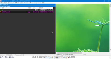 给 Double Commander 增加访问坚果云等支持 Webdav 的云存储的功能