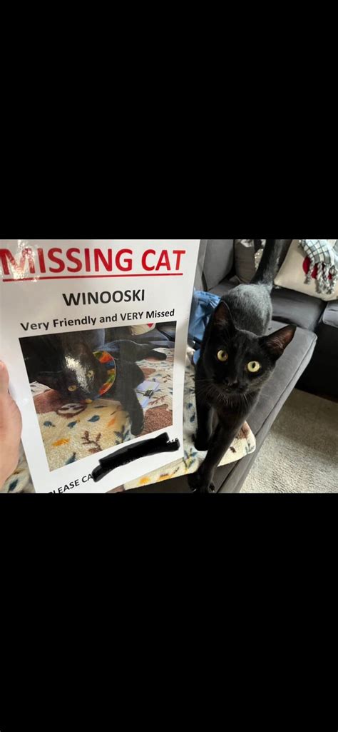 Polymorphic Void Scream Rblackcats