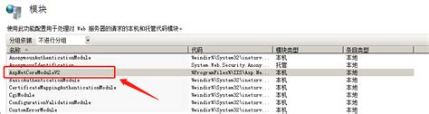 net Core webapi前后端一起部署到同一网站遇到的问题 wjbych 博客园