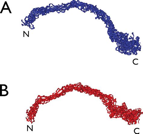 The Tooth Enamel Protein Porcine Amelogenin Is An Intrinsically