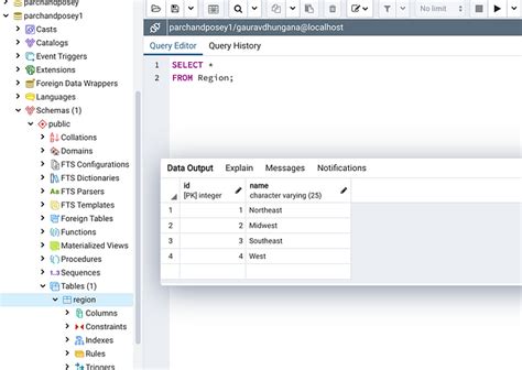 run the parch and posey db locally in postgres by gauravinthevalley
