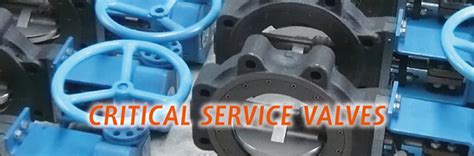 Overview Australian Pipeline Valve