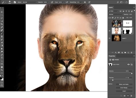 Hushed Original Photoshop For Beginners Products Photoshopportrait