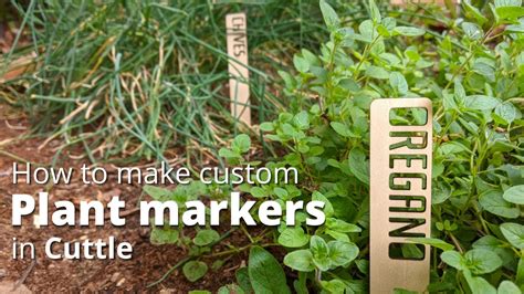 Cuttle Generate Personalized Svg Cut Files In Seconds