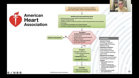 Resuscitation Bradycardia Als Youtube
