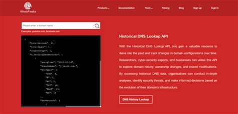 DNS Lookup API And Historical DNS API Cybersecurity Essentials
