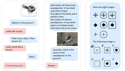 What You Need To Know About Multimodal Language Models Techtalks