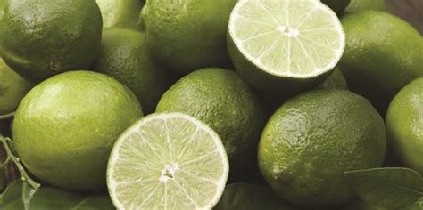 Samoa Farmers Association Plan Citrus Program