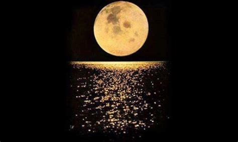 Месечина и месечеви мени