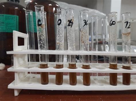 determination of carbohydrate by phenol sulfuric acid method best top
