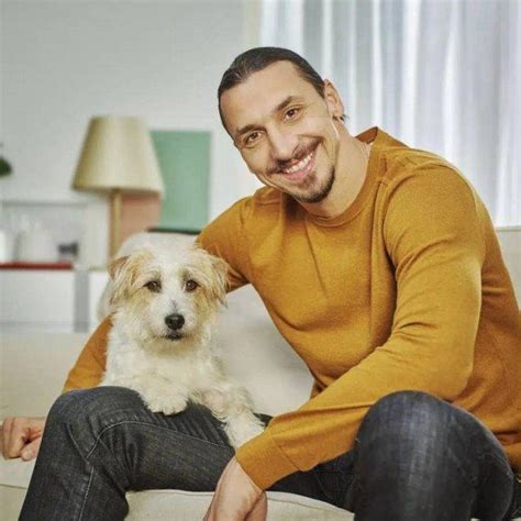 30 ноября Всемирный день домашних животных Hahaland развлекательный портал хорошего настроения