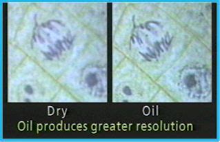 Numerical Aperture Microbus Microscope Educational Website