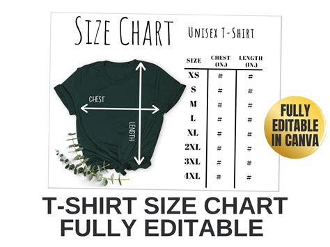3001 Shirt Size Chart Editable Blank Shirt Template Blank Etsy