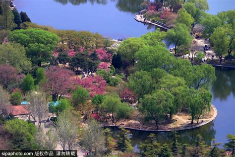 高空俯瞰玉渊潭 春意盎然宛如世外桃源