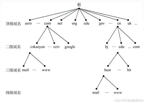 Linux Dns域名解析服务器 Csdn博客
