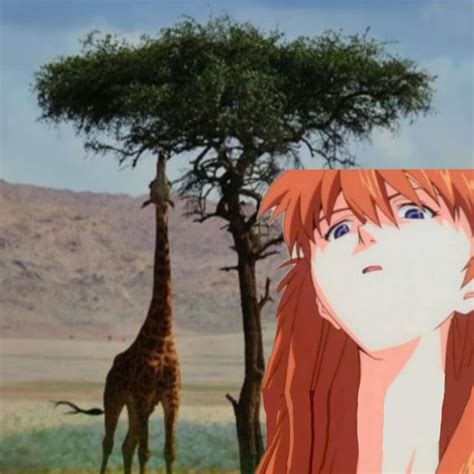 Leesti Relitedangerous