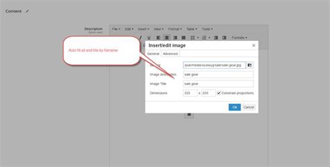 Tinymce 4 Wysiwyg Editor Pro For Magento 2 Magento Insert Image