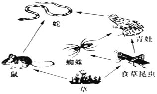 题目 如图是农田和草原连接的物质循环图请据图回答问题1该生态系统中生产者是 该生态系统中数量最少的生物是2若要组成一个完整的