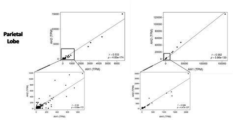 Correlation Plots For Lncrna Expression Between Biologic Replicates Download Scientific