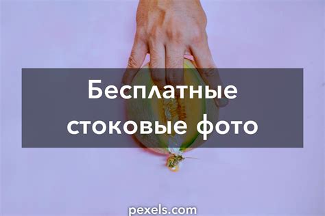 Лучшие фото 2 000 по запросу Sex · Скачивайте совершенно бесплатно