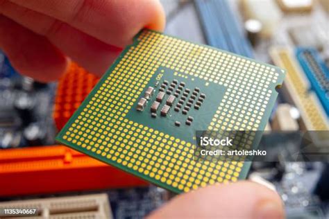 컴퓨터를 위한 엔지니어 기술자의 손에 마이크로프로세서를 칩 니다 첨단 기술 및 수리 마이크로칩 Cpu에 대한 스톡 사진 및 기타 이미지 Istock