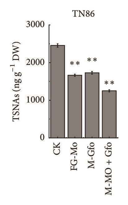Effects Of Chemical Regulation On Nnn Nab Nat Nnk And Total Tsna