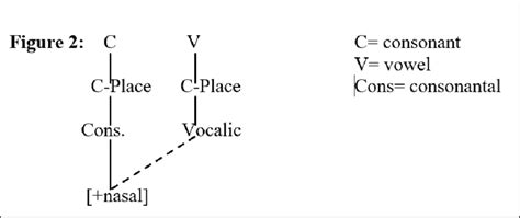 C→v Spreading Source Own Processing Download Scientific Diagram