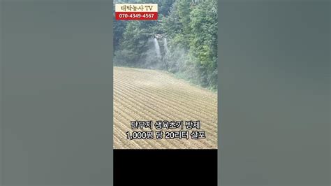 단무지밭 생육초기 방제 1000평당 20리터 살포 방제드론 방제입문 드론추천 비료드론 드론자격증 Dji T40 T50 Afx40 Affx Km45