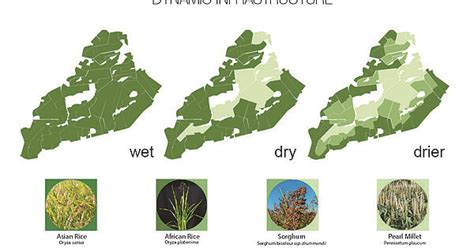 deepening shallow form dynamic infrastructure album on imgur