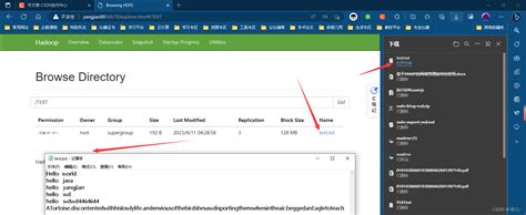 Hadoop系统应用之hdfs相关操作 Java Api对hdfs的操作（idea版）hdfs编程实战 Ide Csdn博客