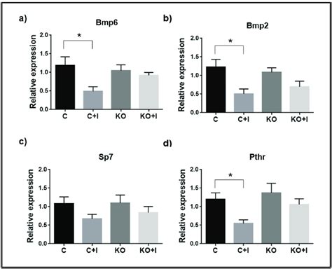 Gene Expression Of Markers Associated With Regulation Of Bone