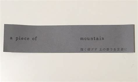 A Piece Of Cineca
