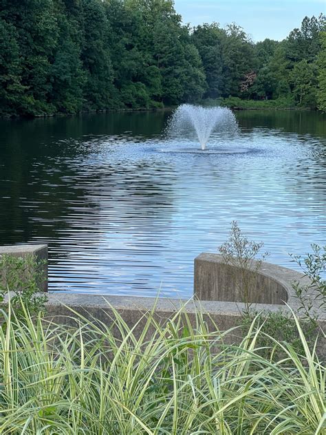 Maryesa Jackson On Linkedin Cyber Gratefulmindset