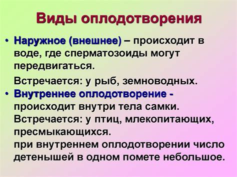 Половое размножение животных Online Presentation