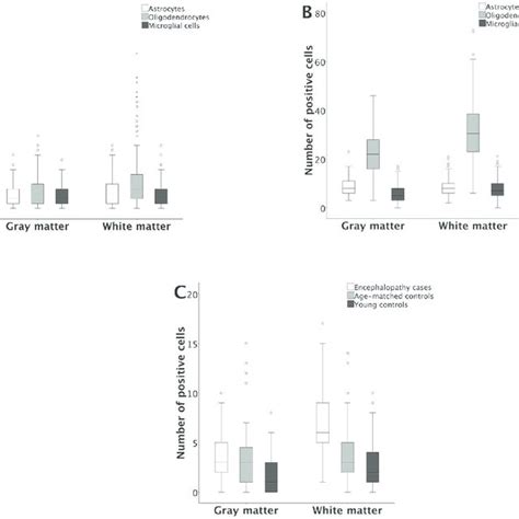 Quantitative Comparison Of The Ihc Results Between The Gray And The Download Scientific Diagram