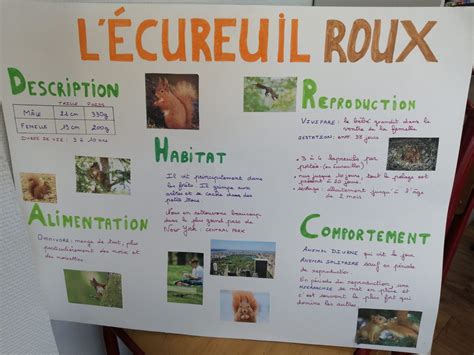 Des exposés sur les animaux en CE2 CM1 Ecole du Sacré Coeur Plougonvelin