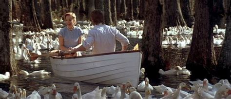 Cypress Gardens Notebook Scene Artofit
