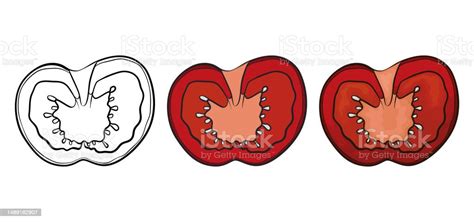 다른 버전의 토마토 조각으로 설정 벡터 그림 3가지 개체에 대한 스톡 벡터 아트 및 기타 이미지 3가지 개체 개체 그룹 건강한 식생활 Istock