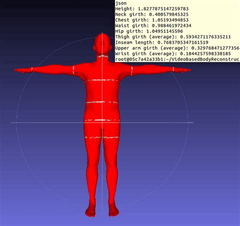 Accurate 3d Body Measurements From 3d Scans Twindom