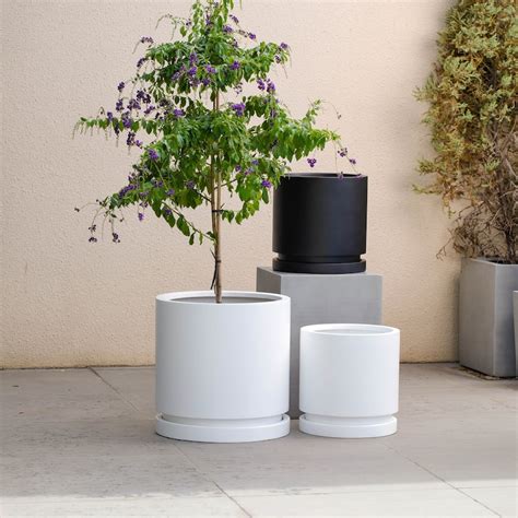 Extra Large Tree Planters Etsy