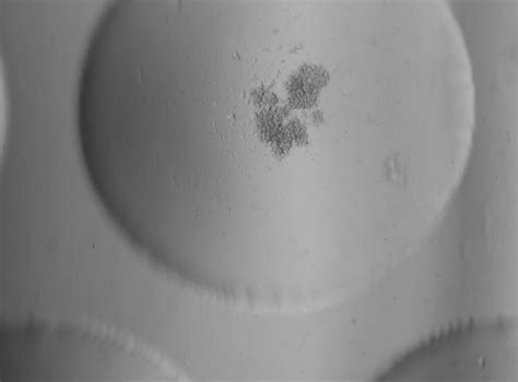 4xpdmsfixbu Instance Segmentation Dataset By Martin Condor