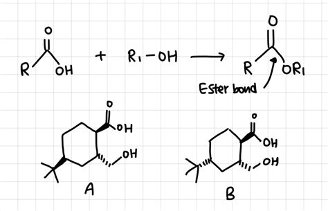 Solved Intermolecular Reactions Occur When Two Functional Groups Are