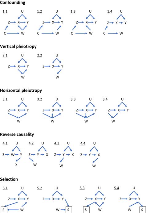 Directed Acyclic Graphs Illustrating Scenarios When An Unexpected