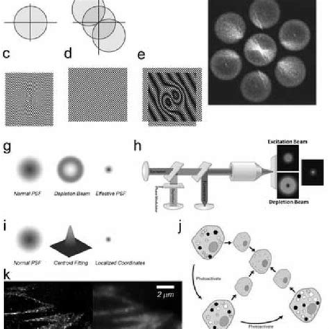 Diffraction Limit On Spatial Resolution Of Light Microscopy A Point