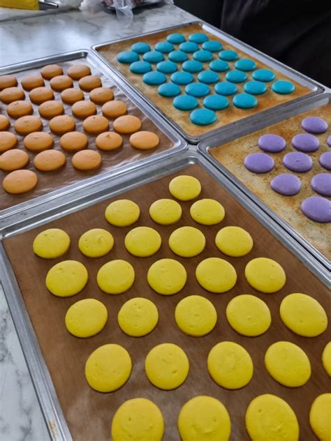 제주 원데이클래스 나만의 수제 마카롱을 만들어보자꼬부기마카롱에서 초등학생 성취감이 뿜뿜 아이들과 함께하는 달달한 시간 네이버 블로그