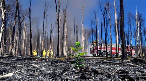 Emergency Response Safety Protocols The City Dark