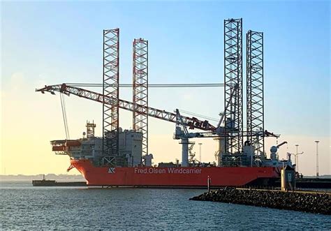 Blue Tern Vesseljoin